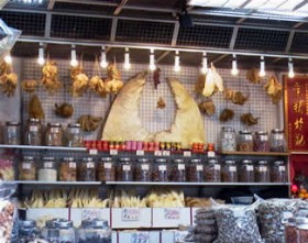 Expensive dish causes controversy – Tenzin Shakya